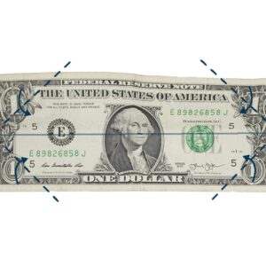 Easy Dollar Bill Origami Duck Instructions - diy-magazine.com
