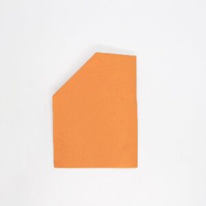 Best Trick Paper Airplane - Instructions with Pictures - diy-magazine.com