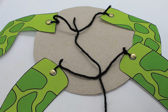 Cool Paper Plate Turtle Puppet - diy-magazine.com