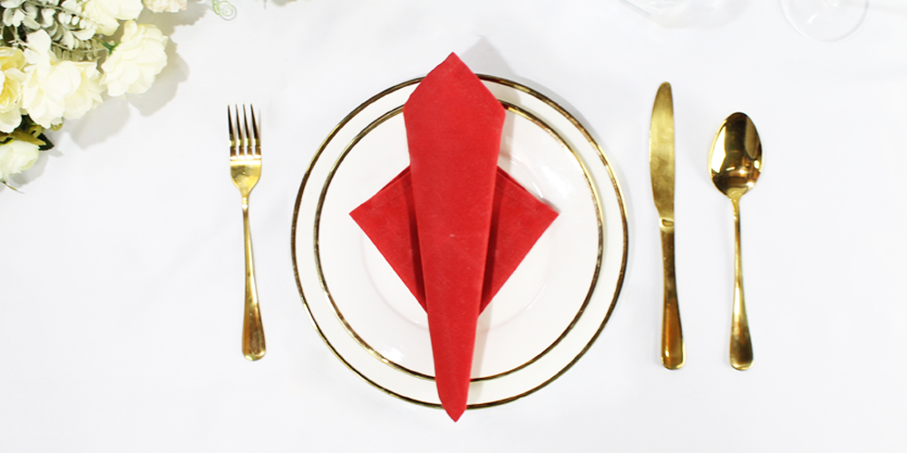 Easy Trifold Napkin | Discover the Fold in 6 Steps