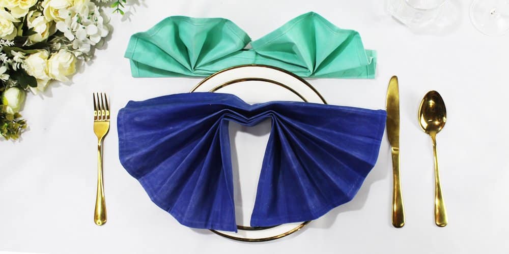 Fancy Napkin Swan Step-by-Step Instruction with Pictures