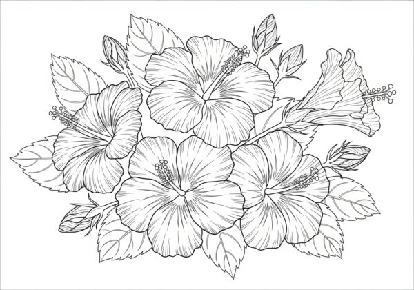 18 Hibiscus Coloring Pages - Free Printable Pdfs