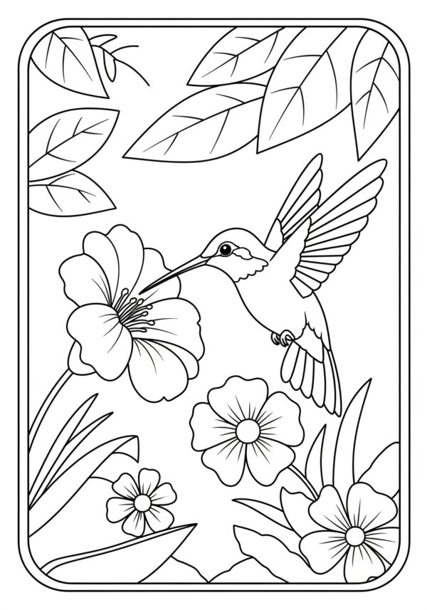 Humming Bird Coloring Pages Archives - diy-magazine.com