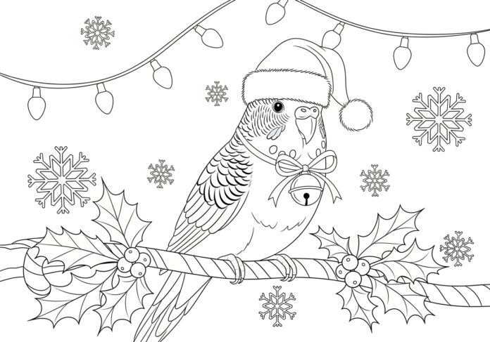 Parakeet Coloring Pages Archives - diy-magazine.com